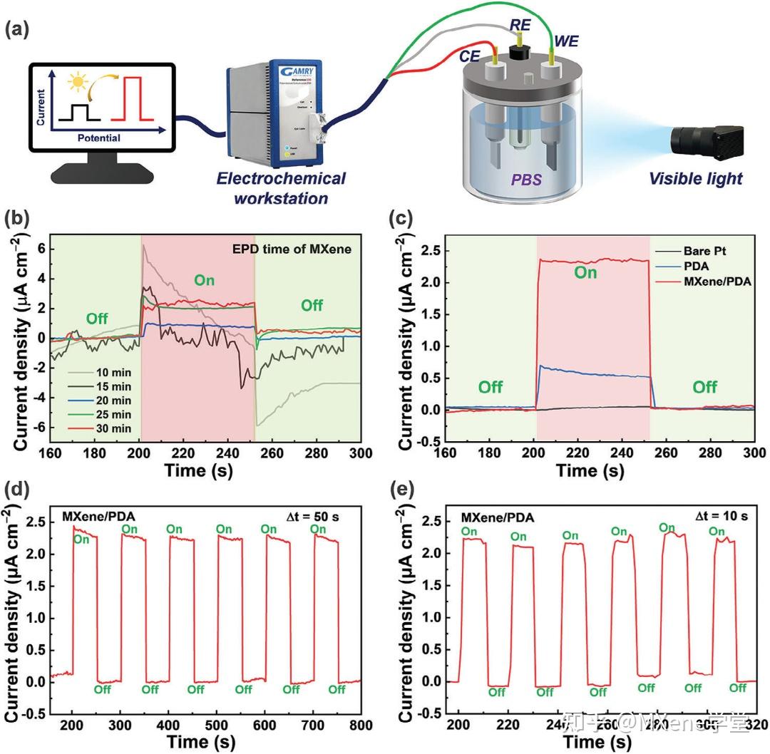 AFM-深圳先进技术研究院 |快速电沉积MXene/PDA复合材料制备高性能生物电子界面用于体外实验评价 - 知乎