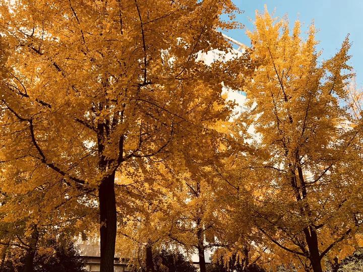 单词 unintuitive 的用法介绍 - 知乎