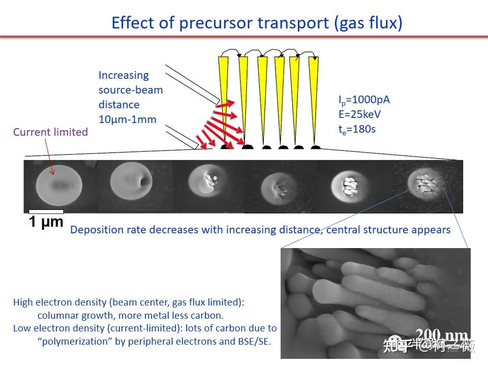 SPM / SEM / TEM / FIB这四种显微镜的区别是什么？ - 知乎