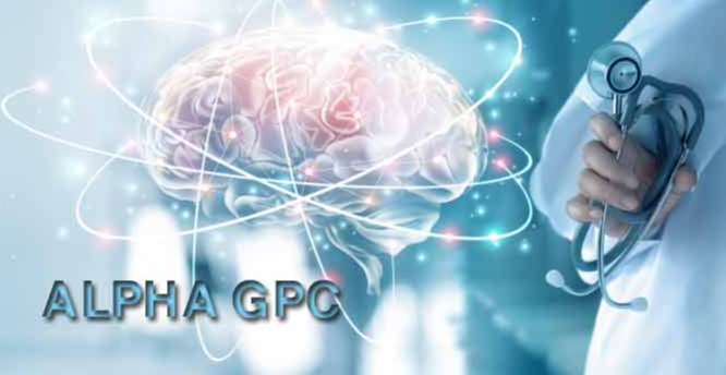 Alpha GPC 甘油磷脂酰胆碱可以提高认知水平吗 - 知乎