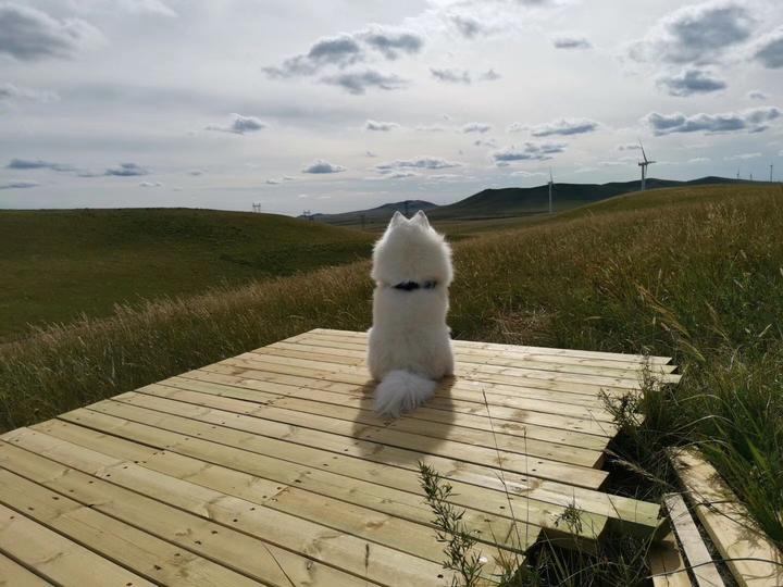 聊聊Python的一个彩蛋：Python之禅 - 知乎