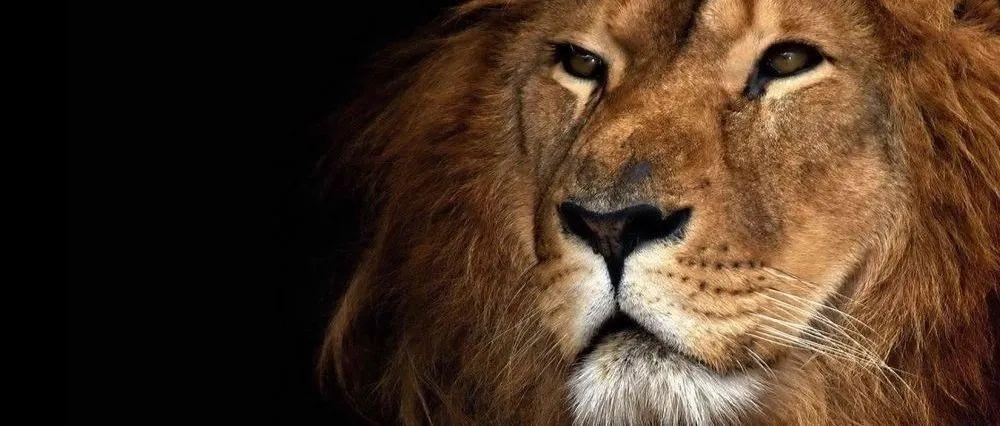 numpy.stack的作用和理解 - 知乎