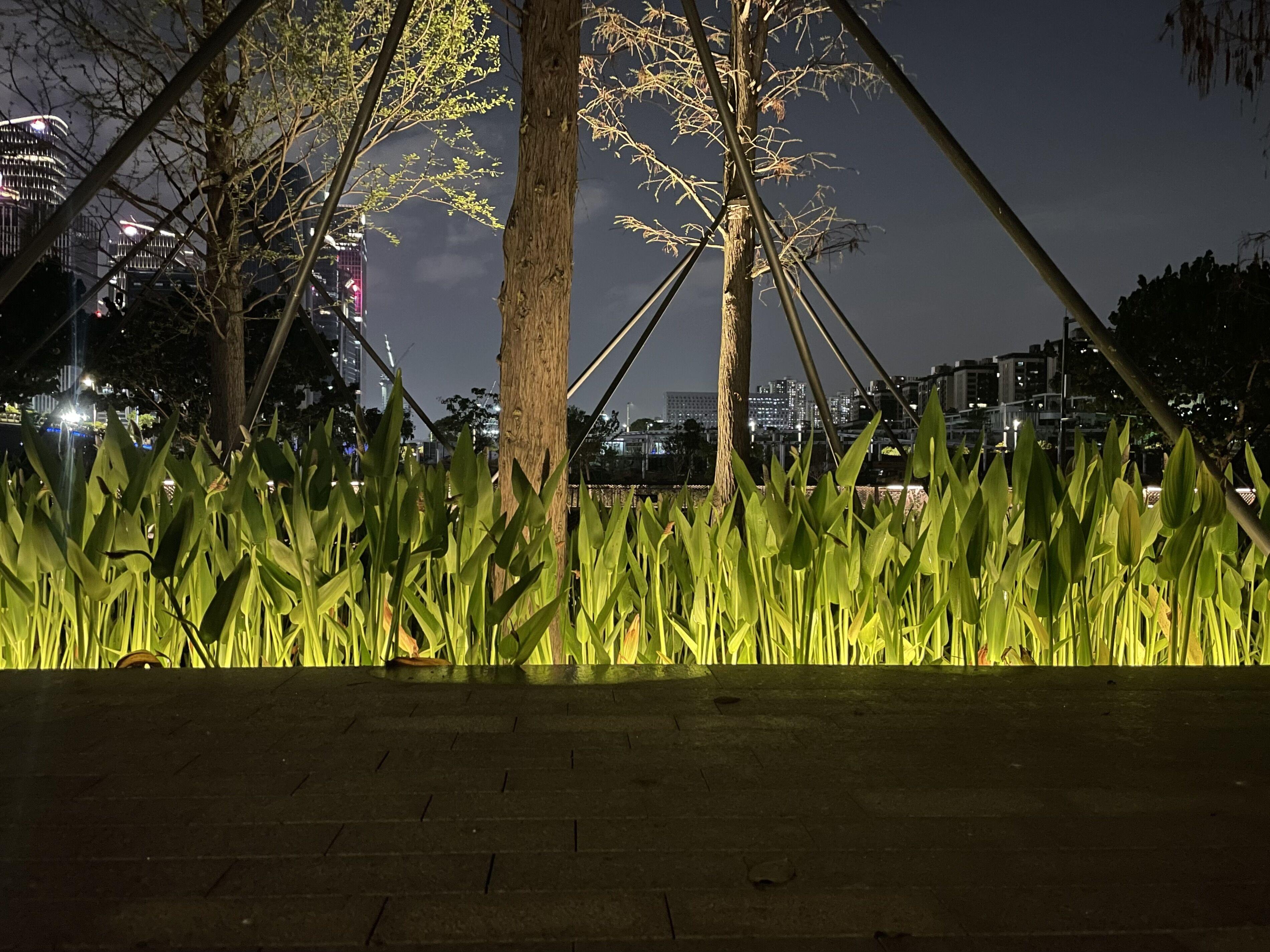 Faiss入门及应用经验记录 - 知乎