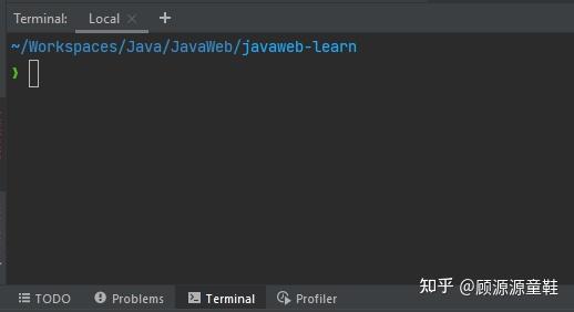 打造ideawsl2的java开发环境（zsh Jdk Maven） 知乎 