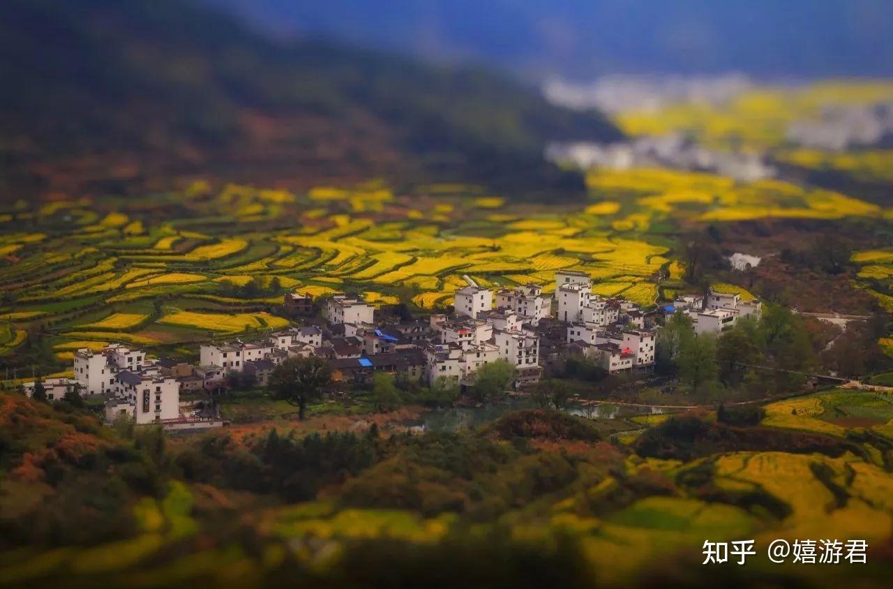 云南罗平的罗平油菜花海怎么样？有什么游览攻略分享？ - 知乎