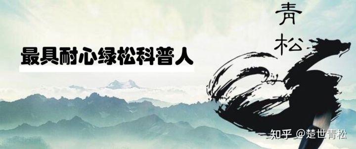 文玩阿呆可爱多金 - 知乎