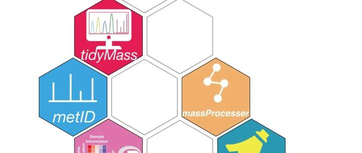 TidyMass: 一个面向对象的LC-MS数据可重复分析计算框架 - 知乎