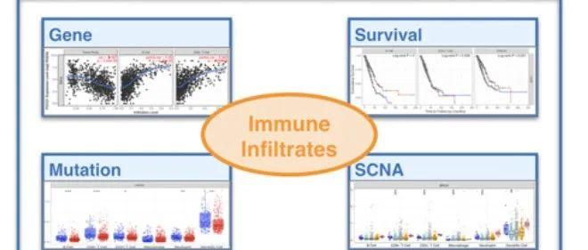 RNA 24. SCI文章中基于TCGA的免疫浸润细胞分析的在线小工具——TIMER - 知乎