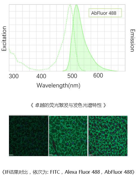 AbFluor 488荧光偶联标记试剂盒，稳定性良好 - 知乎