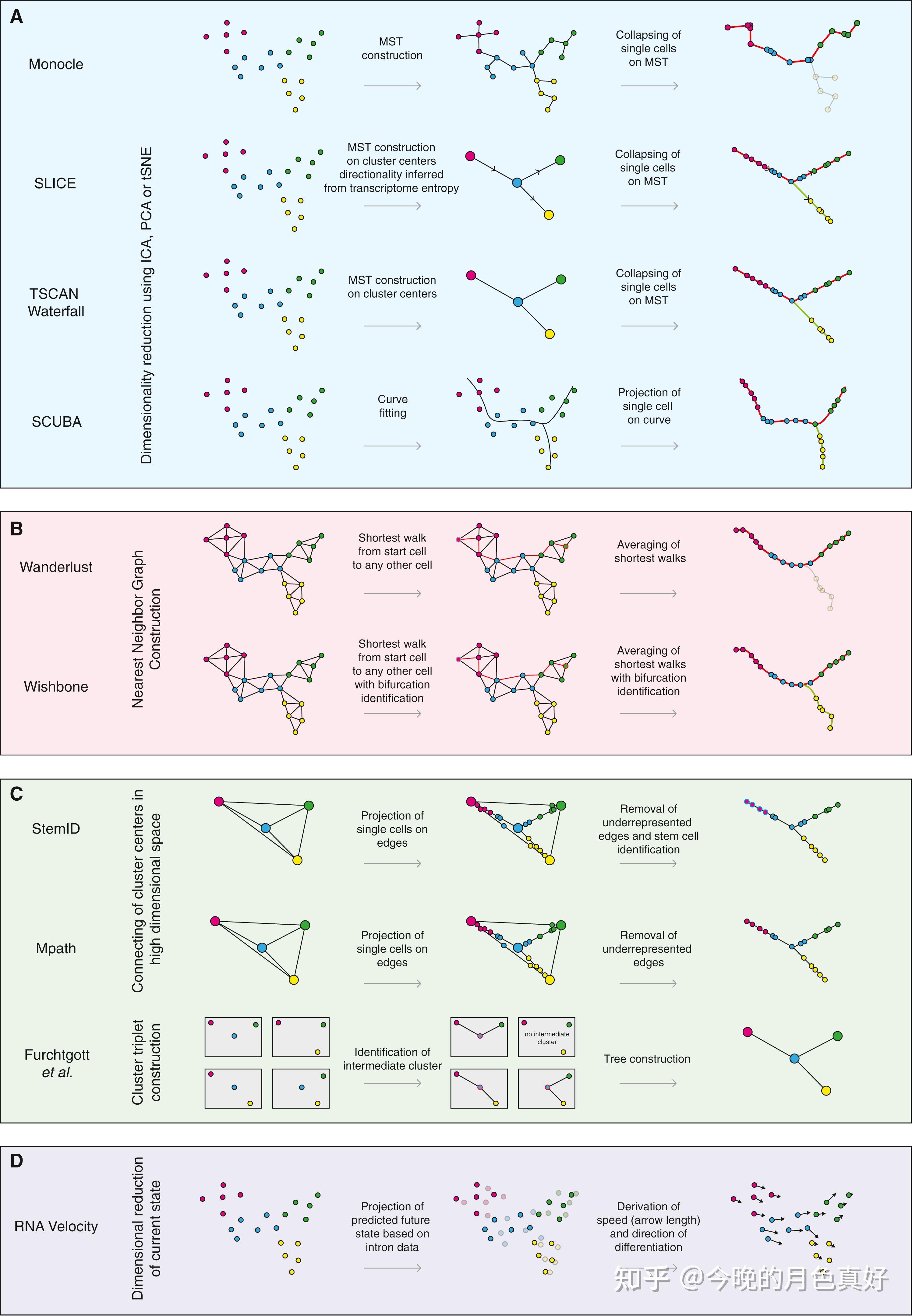 Single-Cell Transcriptomics Meets Lineage Tracing - 知乎