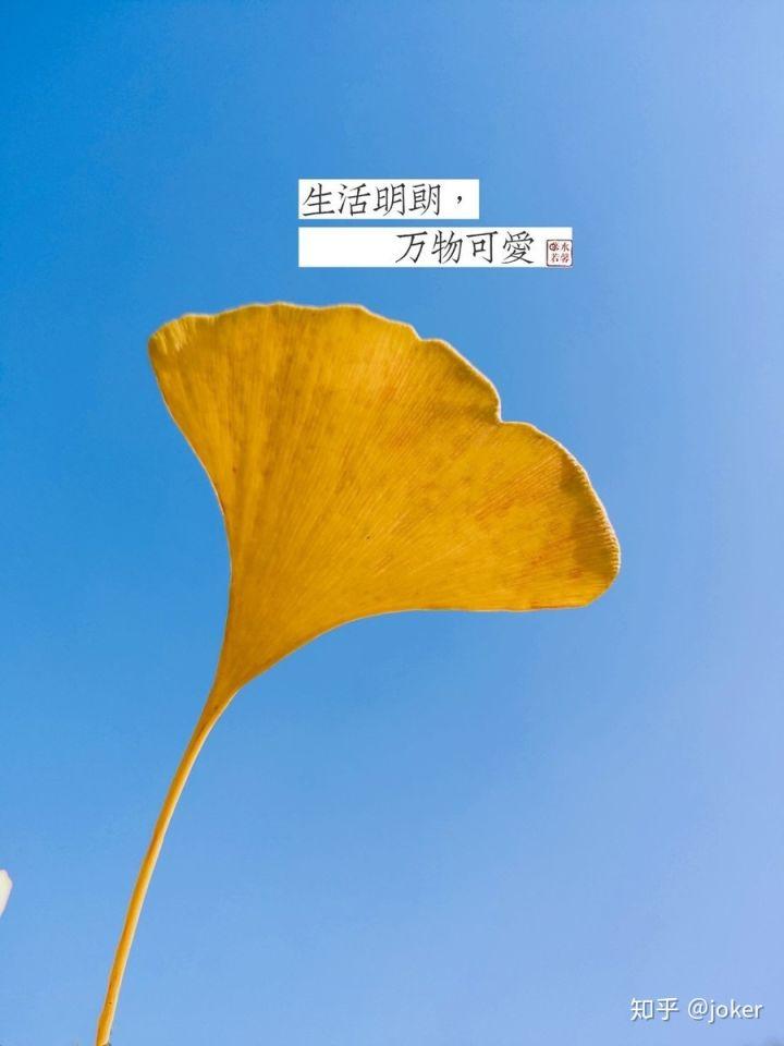 如何看待Java300集视频教程？为什么要学习Java？ - 知乎