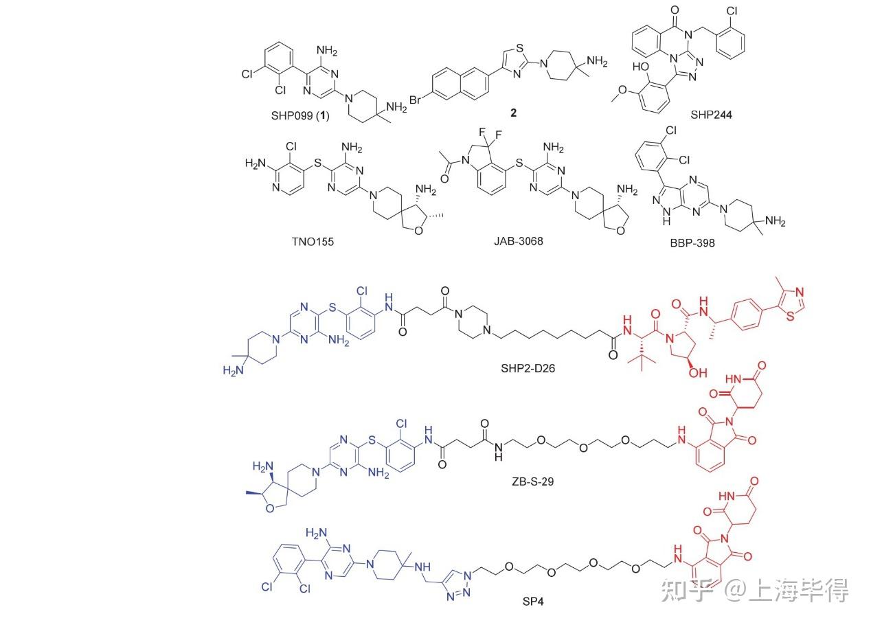 SHP2变构抑制剂GDC-1971合成路径 - 知乎