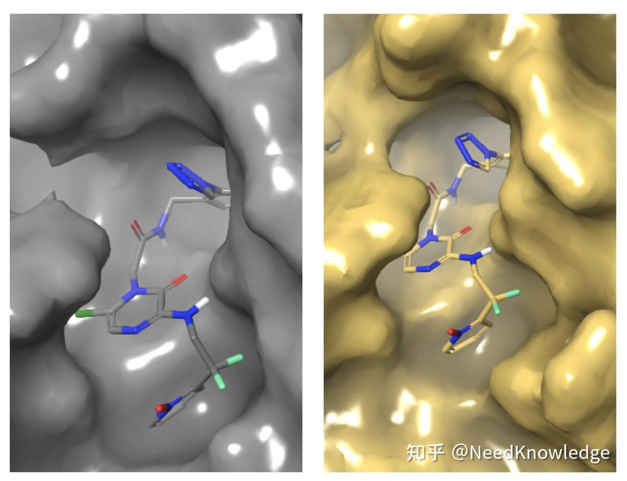 Schrödinger教程 | Cross-docking with IFD-MD - 知乎