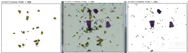 Imagej图像处理实践（ImageJ学习-图像处理 545367350） - 知乎