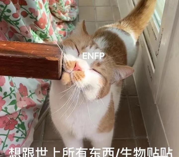 ENFP型女生性格解析 - 知乎