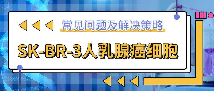 细胞学堂|SK-BR-3人乳腺癌细胞的生长特性及常见问题 - 知乎