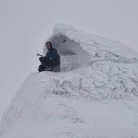 阶次追踪(Order Tracking)在汽车NVH中的应用 - 知乎