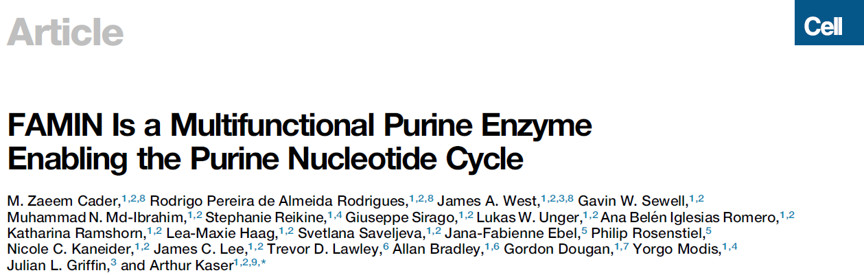 Cell | FAMIN介导的嘌呤代谢新机制，在代谢调控中发挥重要作用 - 知乎