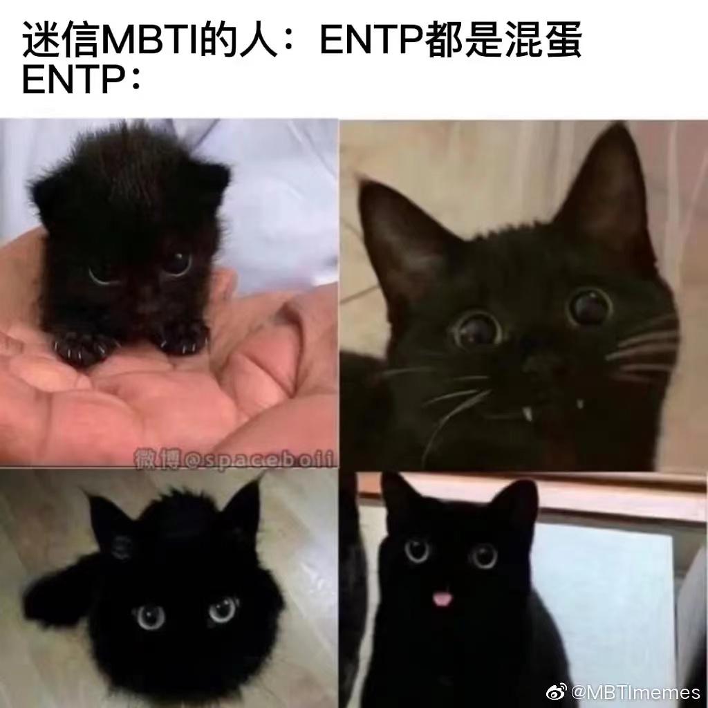 ENTP的成长环境是怎样的？ - 知乎