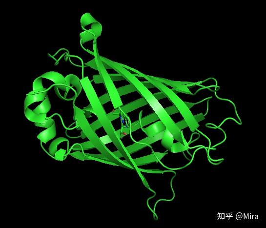 PyRosetta 修改EGFP结构以获得循环重排mEGFP（cpmEGFP）结构 - 知乎