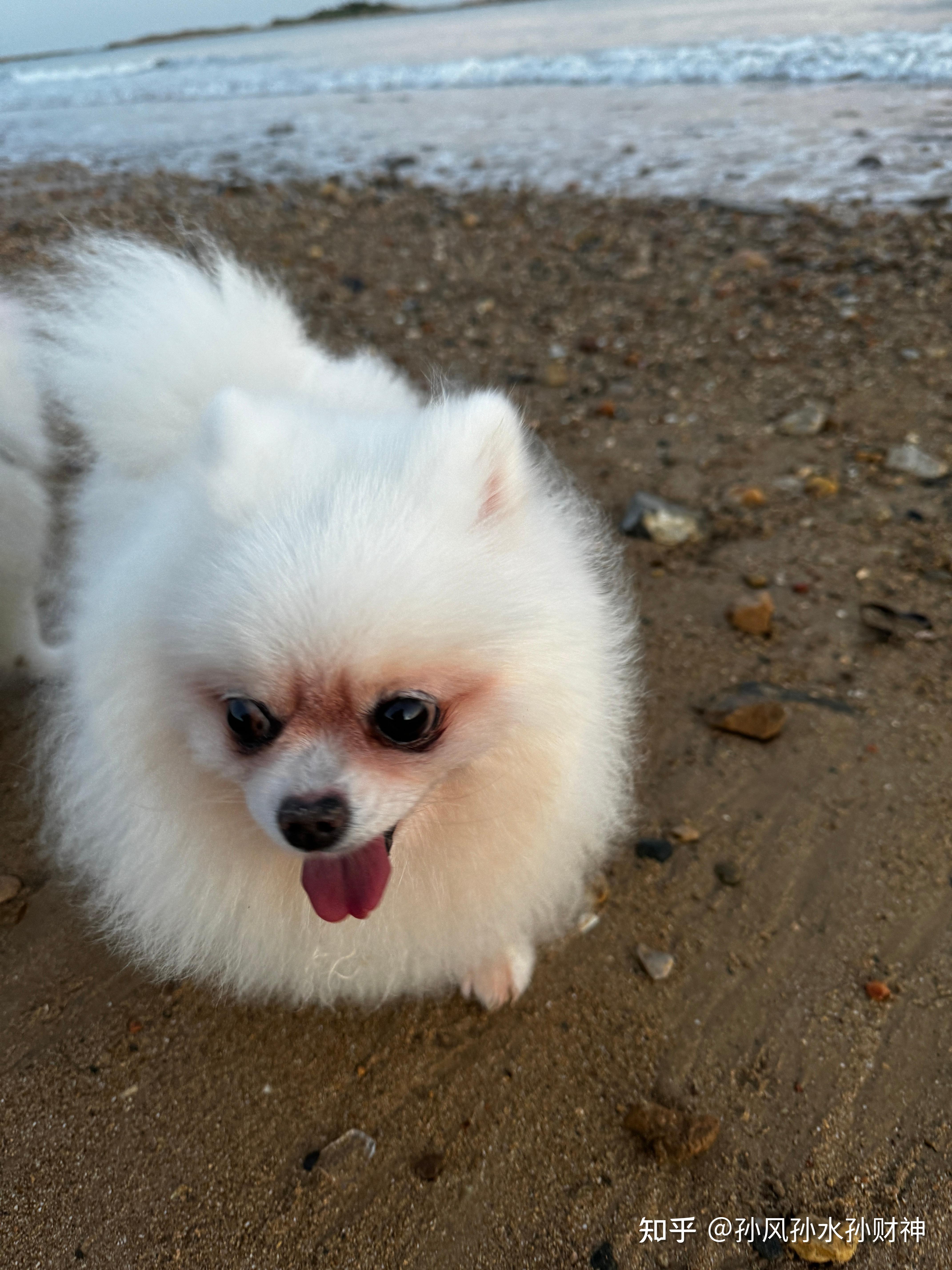 LPR 在 2024 年内有下调空间吗？ - 知乎