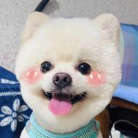 洛谷刷题Python语言 | P1001 A+B Problem - 知乎