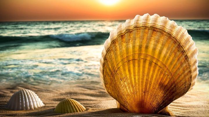 用 Bash 读写文件 | Linux 中国 - 知乎