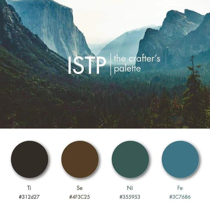 ISTP人格分析 - 知乎