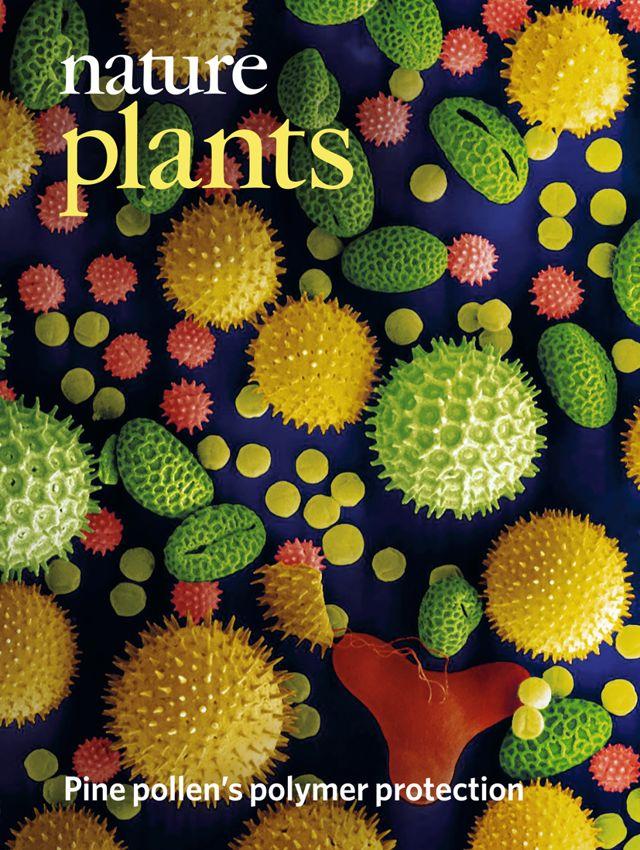 48张Nature1月子刊封面高清大图汇总，你最喜欢哪一张？ - 知乎