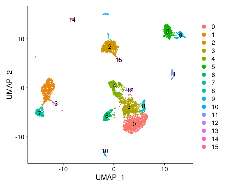 跟着小白使用docker学习Seurat单细胞数据分析 - 知乎