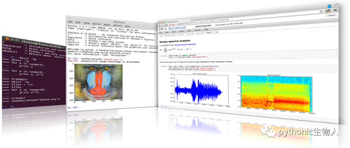 Jupyter Notebook辅助工具:nbpreview 知乎