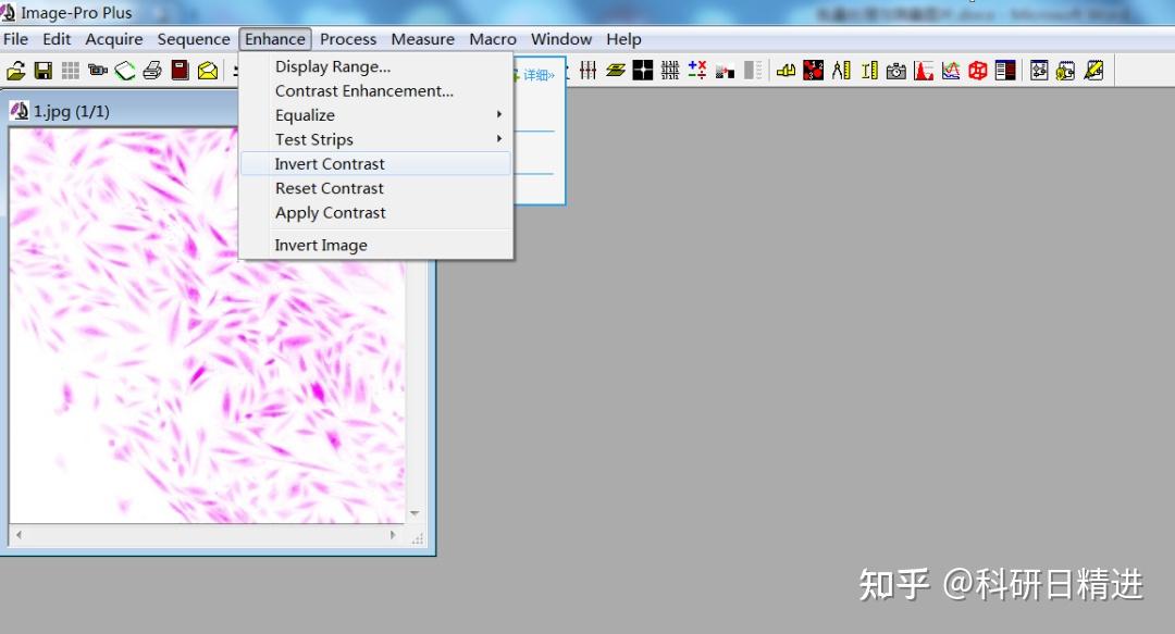 还在慢吞吞处理图片？学会用IPP批量处理和测量图片 - 知乎