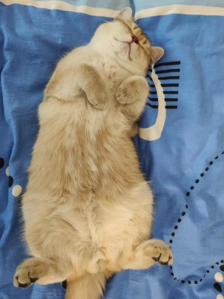 Processor Microarchitecture: An Implementation Perspective 论文笔记（三）—— Decode - 知乎