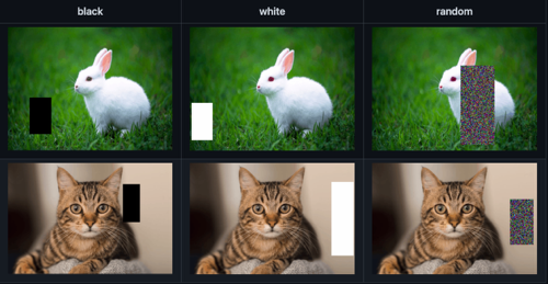 Random Erasing Data Augmentation - 知乎