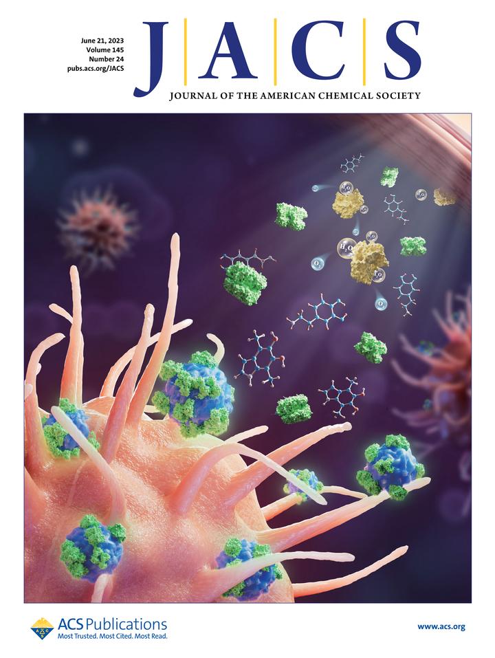 【封面鉴赏】ACS——化学研究的视觉盛宴 - 知乎