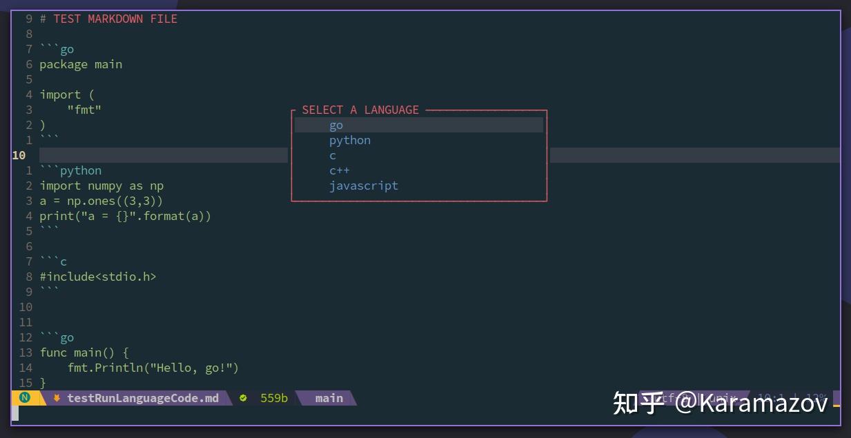 大家开发用的是vim还是neovim？ - 知乎