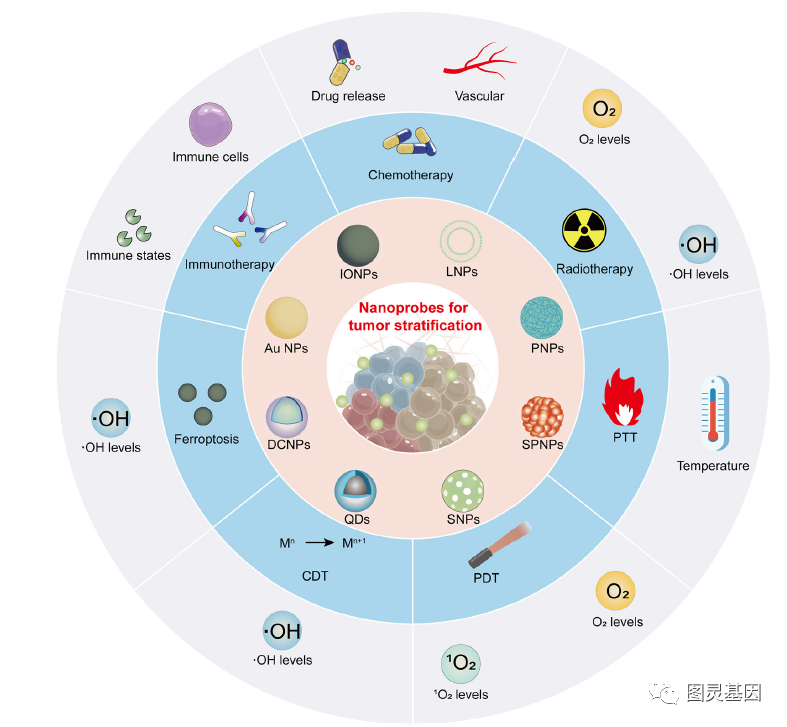 Che Soc Rev |北京大学应用纳米探针分子成像于肿瘤患者分层 - 知乎