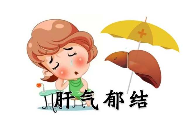 肝气郁结，柴胡疏肝丸，龙胆泻肝丸，逍遥丸，哪个疏肝效果好？ 知乎