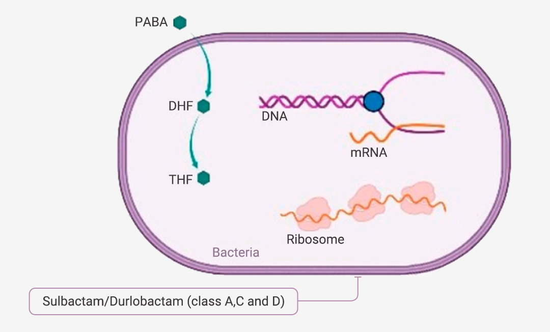 2023 年上旬 FDA 批准药物有哪些? - 知乎