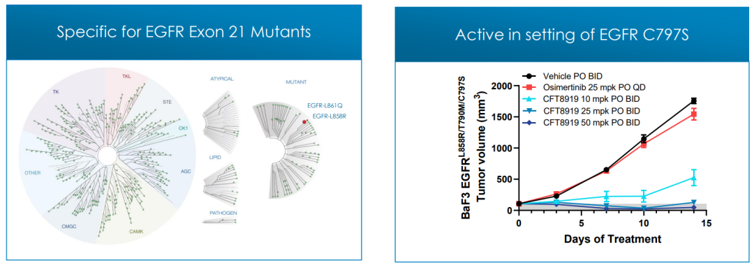 贝达超4亿美元引进！C4T口服BiDAC 降解剂在美国获批临床 - 知乎