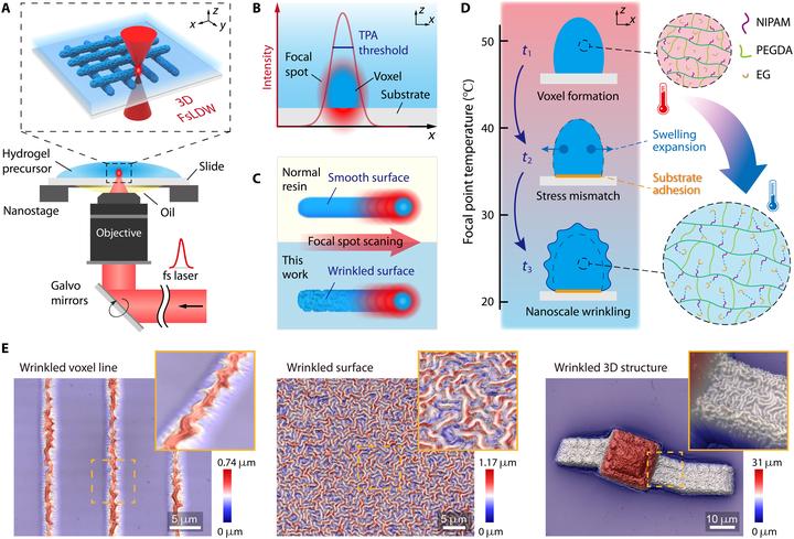 《Science Advances》：3D打印纳米皱纹结构新范例，飞秒激光直写诱导水凝胶热响应组装策略 - 知乎