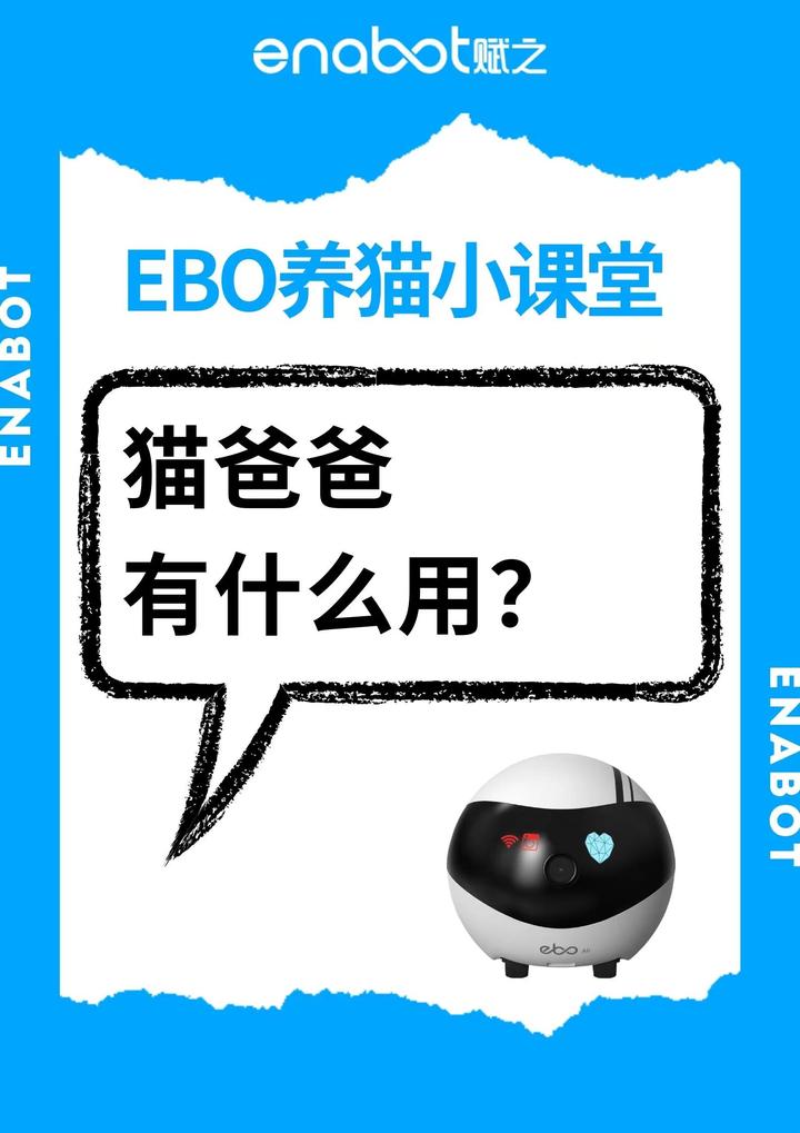 EBO宠物小课堂|猫爸爸有什么用？ - 知乎