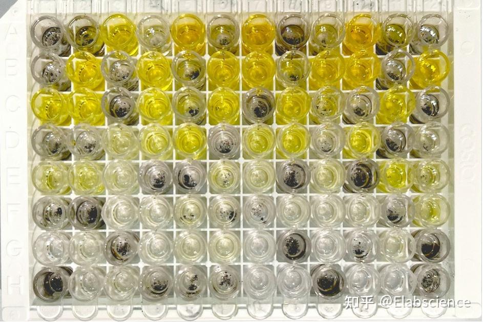 ELISA实验中，为何出现多样色彩？ - 知乎