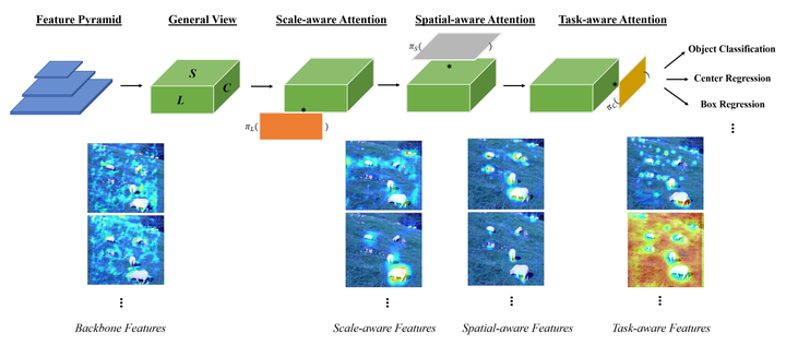 Dynamic Head：为目标检测的统一检测头-CVPR2021 - 知乎
