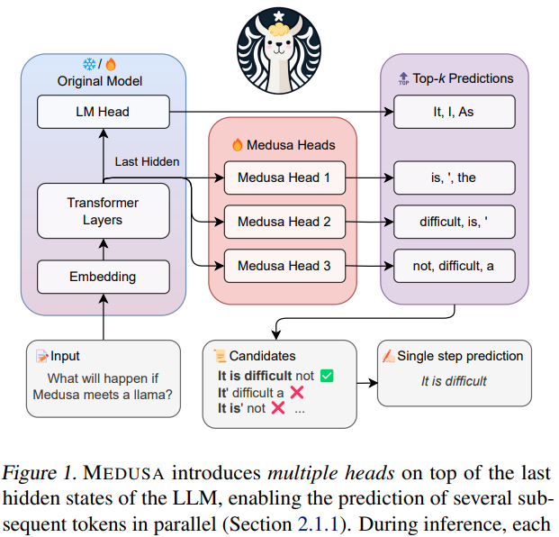 LLM之Speculative Decoding实战 - 知乎