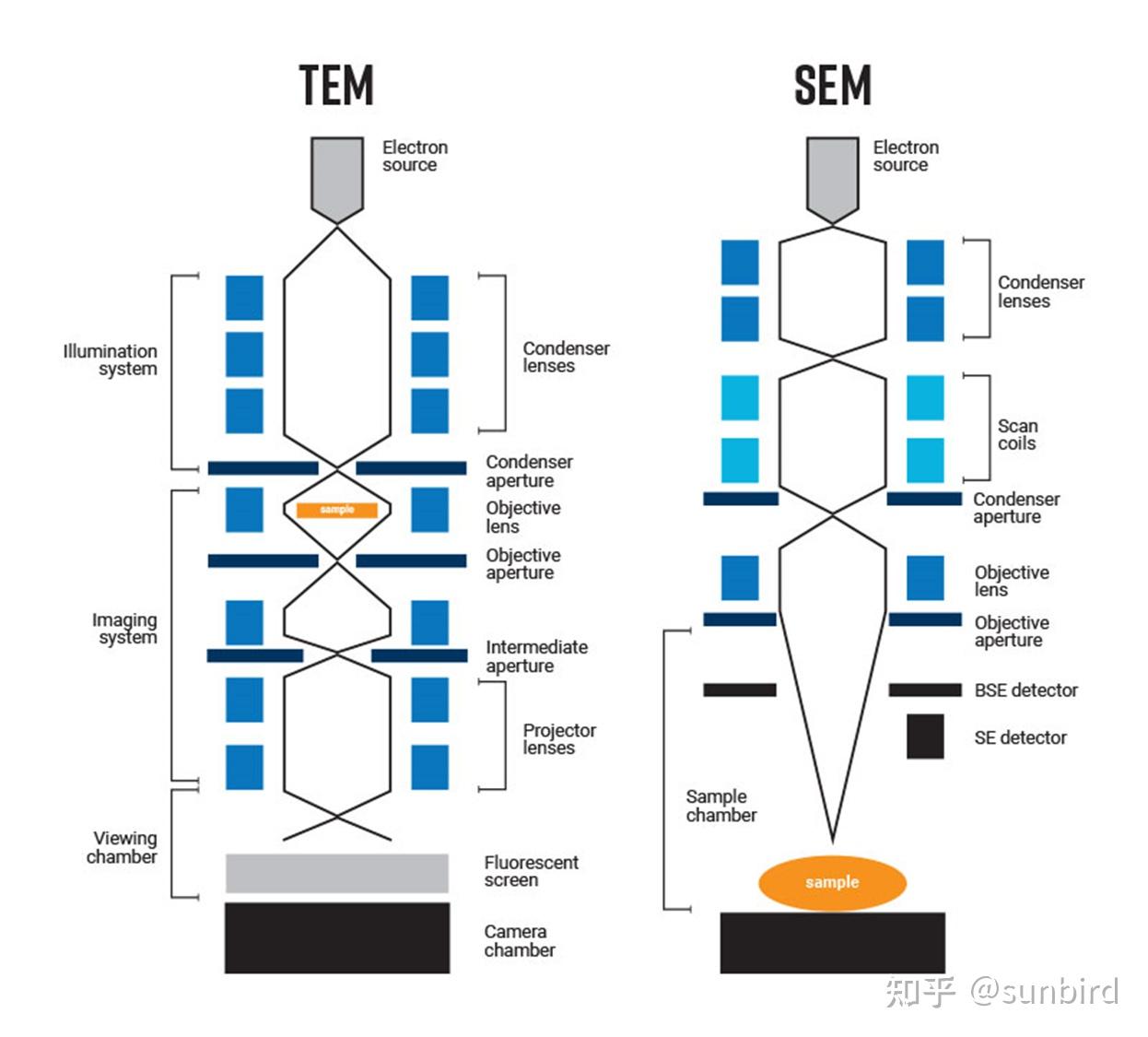 SEM、TEM、AFM、STM、STEM这五类显微镜有哪些区别，各自有什么特点？ - 知乎