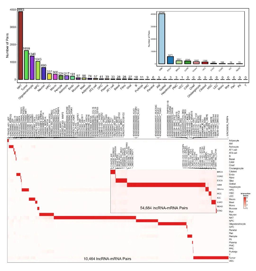 单细胞lncRNA如何分析？VITA助你一臂之力！ - 知乎