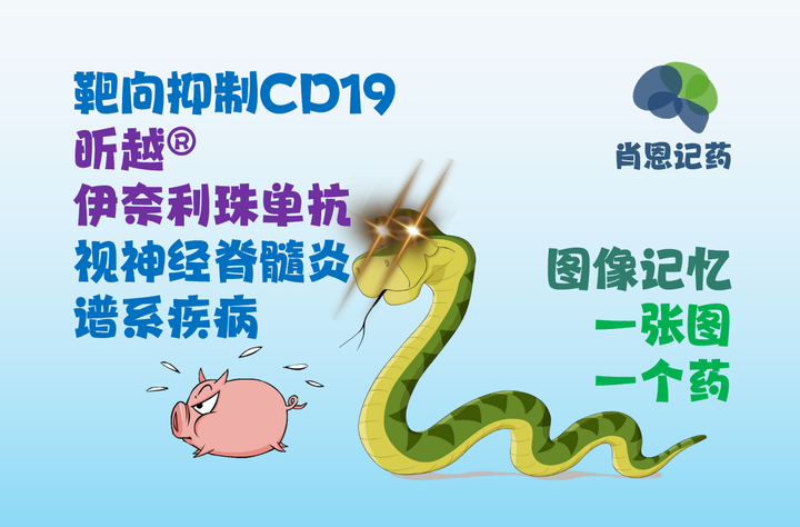 记住所有FDA生物药 | 抗CD19 | 治疗视神经脊髓炎谱系疾病NMOSD | 昕越®伊奈利珠单抗 - 知乎