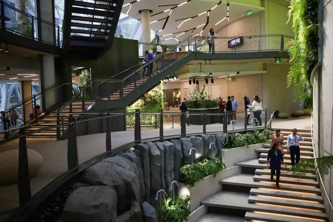 40亿美元建出一片热带雨林，亚马逊总部长什么样？ - 知乎