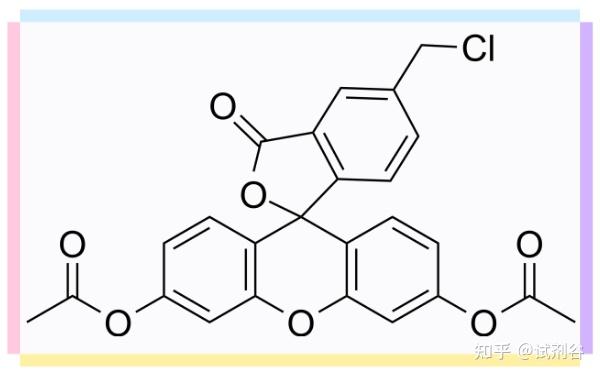 Cell-Tracker Red CMTPX能够在长时间的观察过程中保持稳定的荧光强度 - 知乎